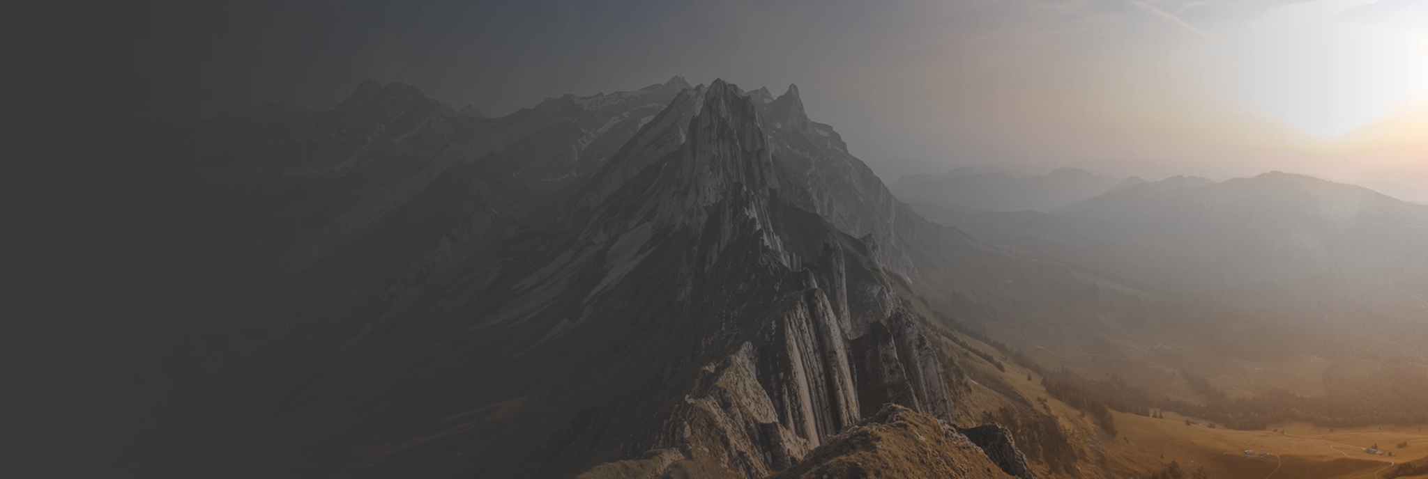 BlackArmor® Carbon/PEEK I icotec