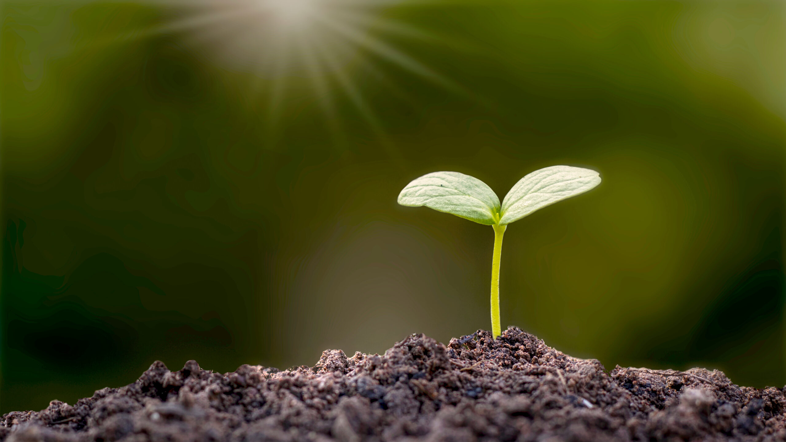 icotec ag raises $30m in growth financing from MVM Partners | icotec